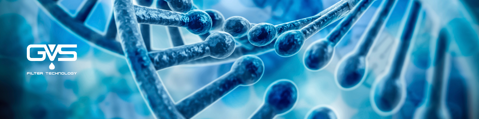 SPONTANEOUS APPLICATION - Professionals - - IT | GVS